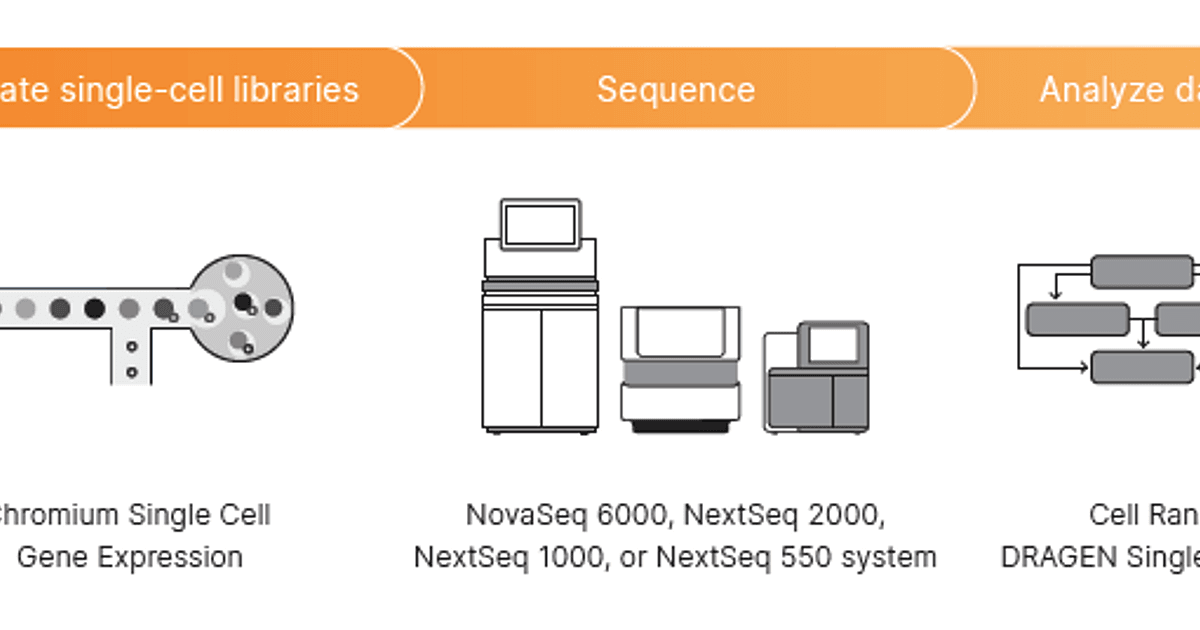 Illumina | 10x Genomics Chromium 3’ Gene Expression (Dual Index) data…