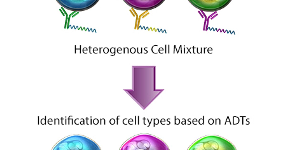 Illumina | BioLegend Cell Hashing/TotalSeq libraries sequencing runs…