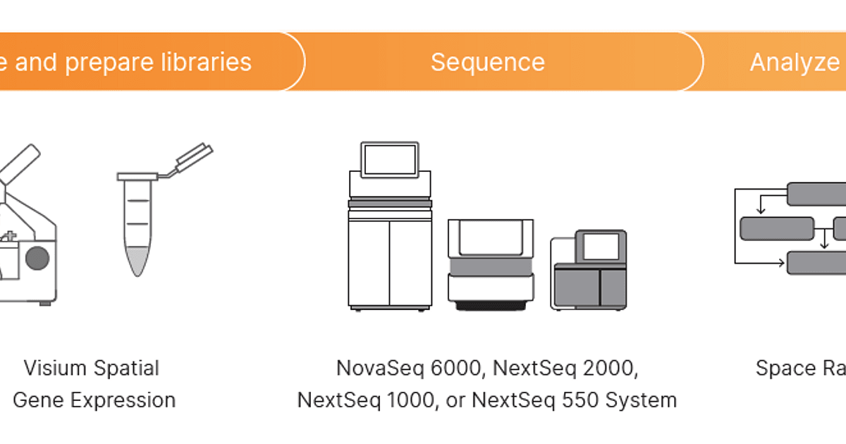 Illumina | 10x Genomics Visium Spatial Gene Expression data now…