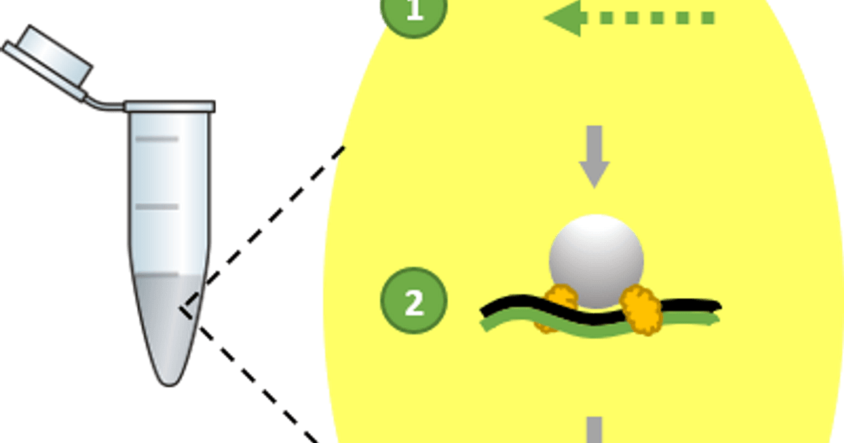 Illumina | 10x Genomics Visium Spatial Gene Expression data now…